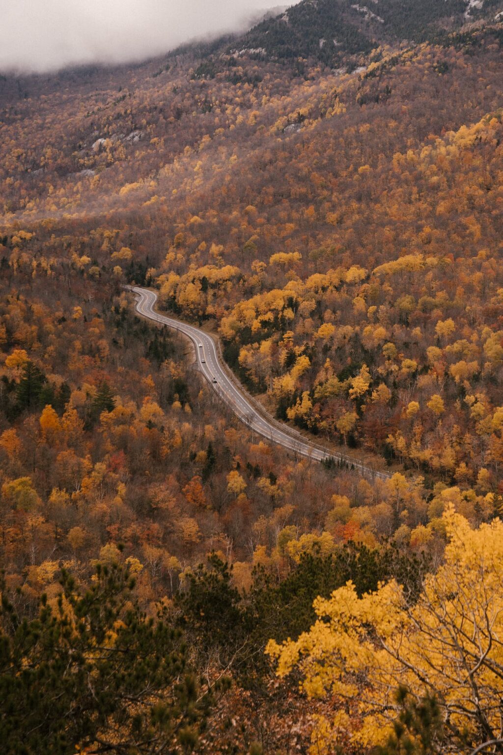 Fall Foliage NC's Guide: Best Spots & Timing 2024